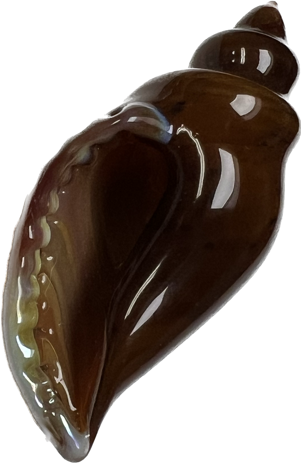 Hayes Glass Shell Pendant - BC Smoke Shop